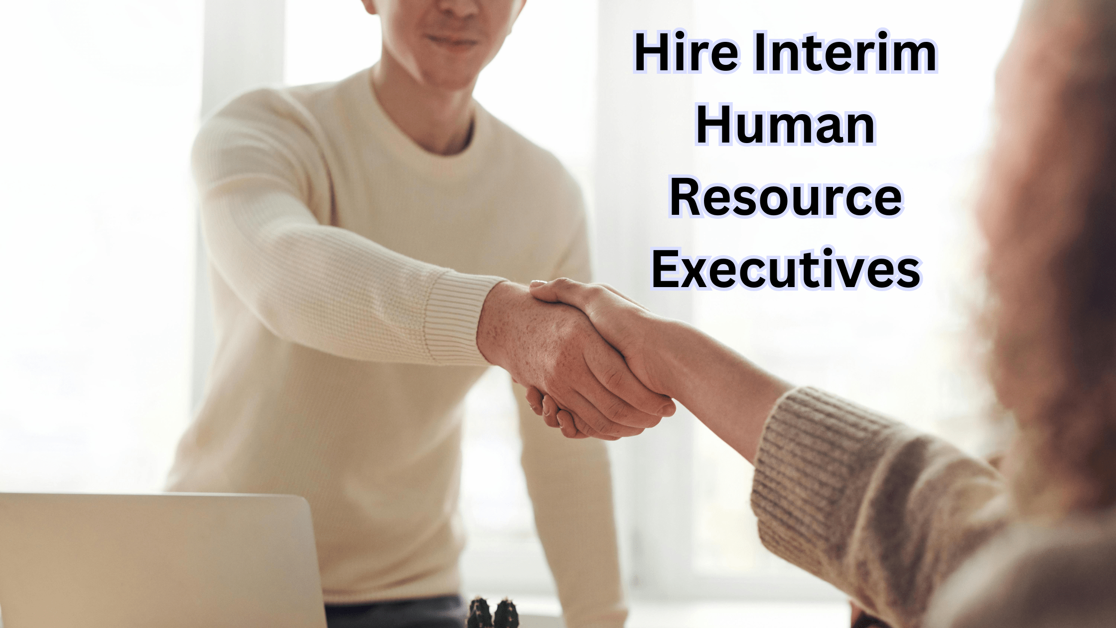 Interim Chief Human Resources Officer Management-Function Page