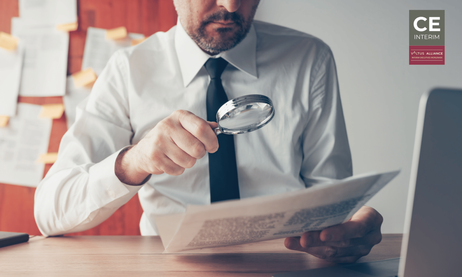 What is a Functional Expert? Bridging Skills Gaps in Business