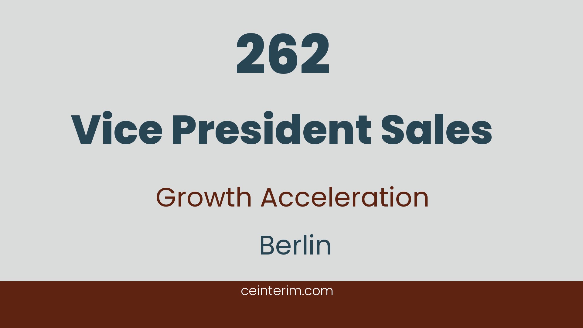 262 - Interim Vice President Vertrieb SaaS Deutschland