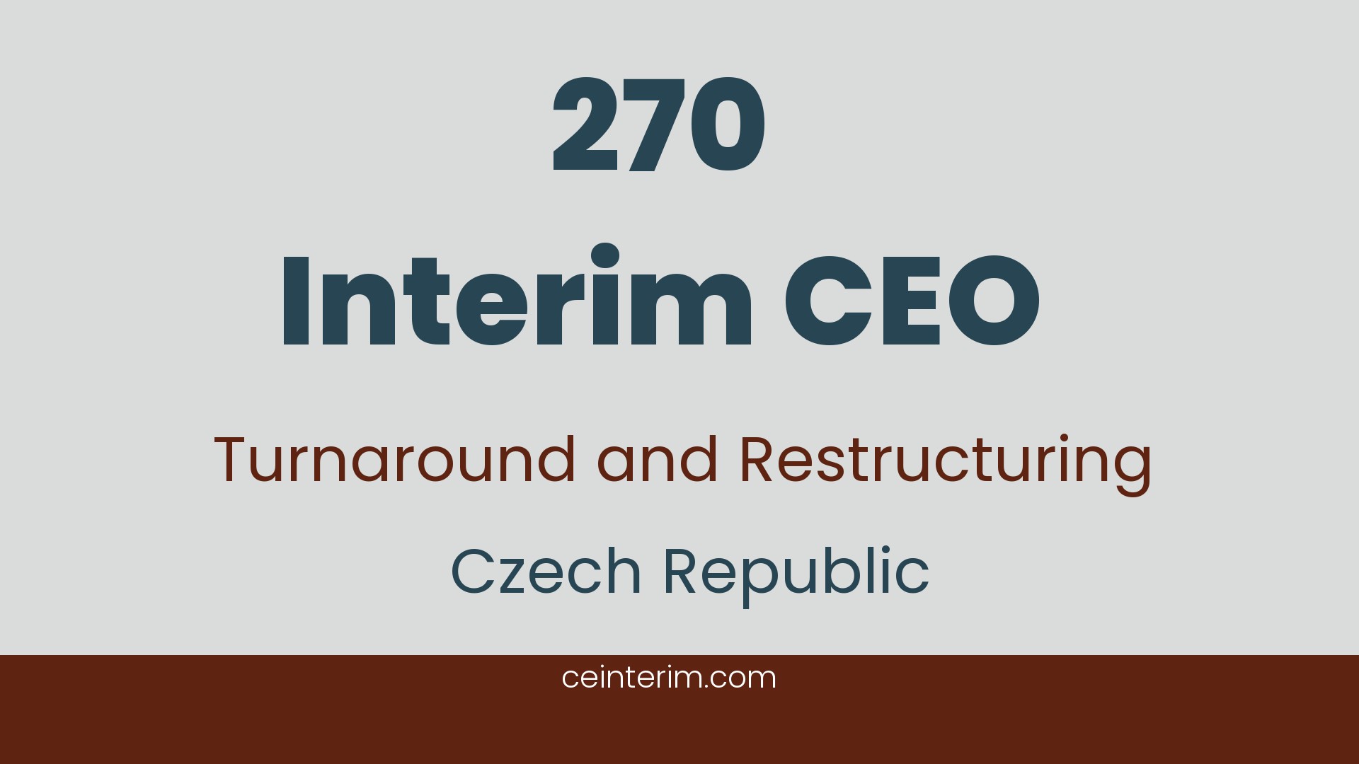 270 Interim CEO Turnaround Czech Republic